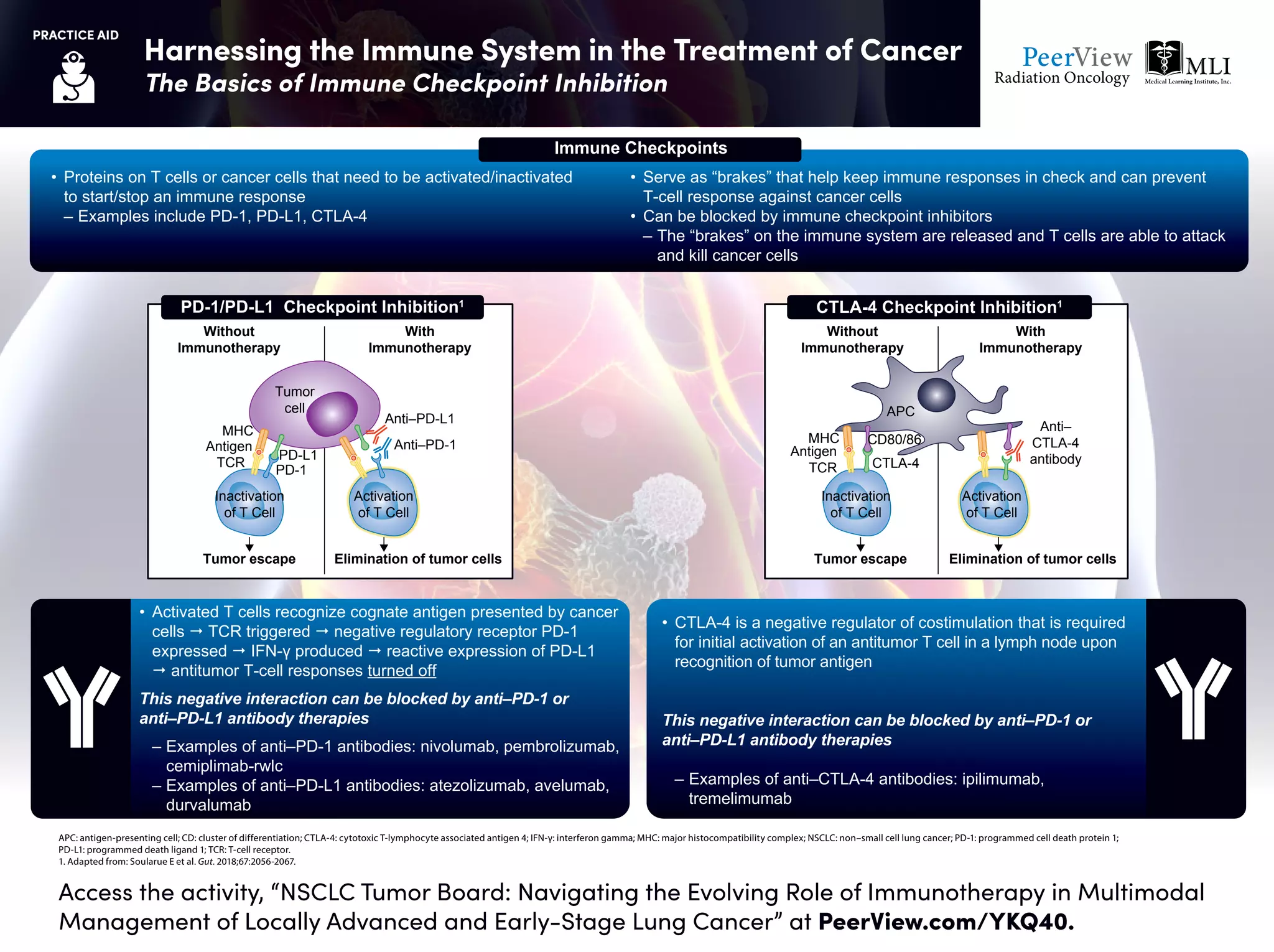 NSCLC Tumor Board: Navigating the Evolving Role of Immunotherapy in Multimodal Management of ...