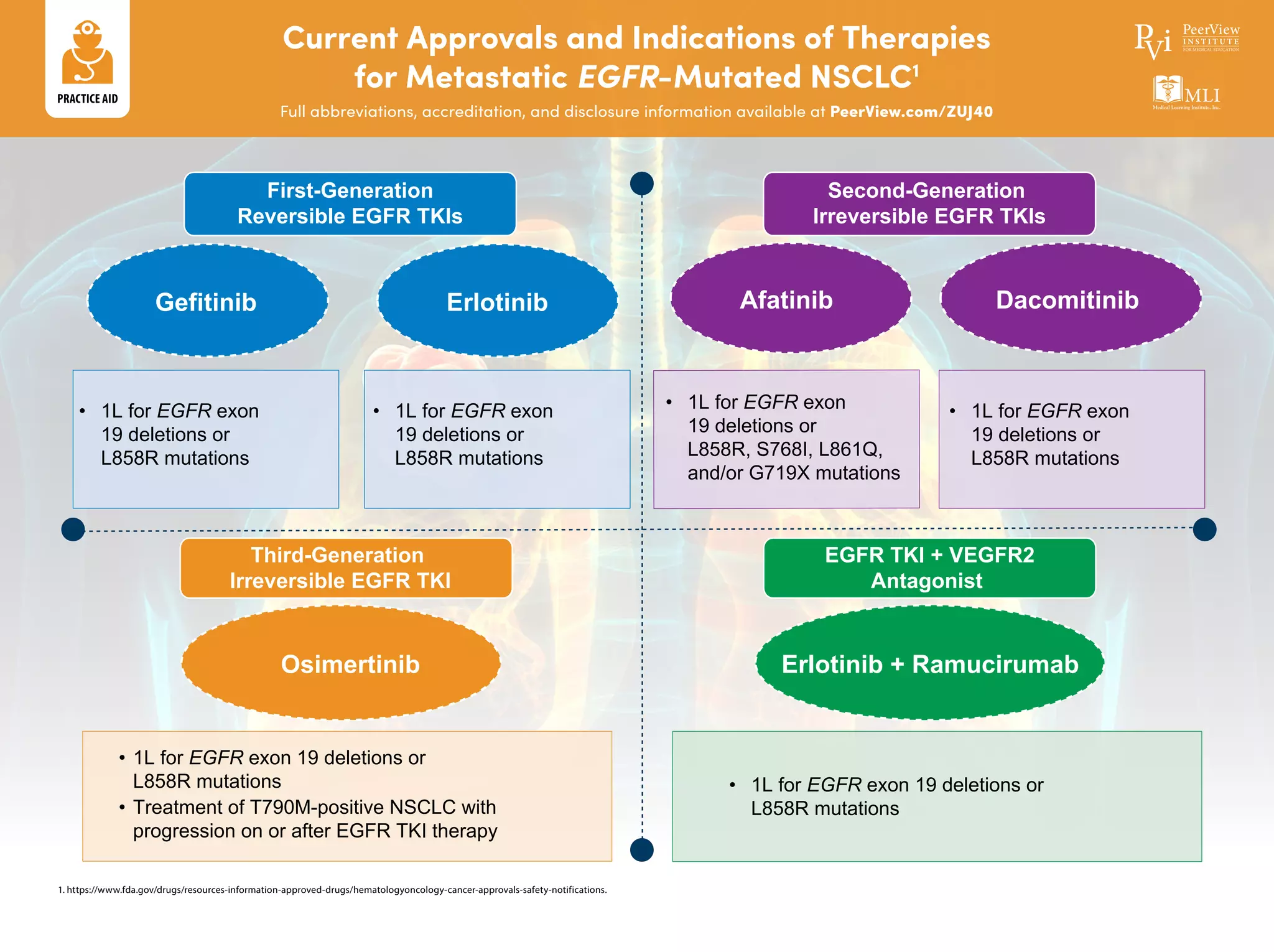 Turning Tides in Targeted Therapy for Early-Stage EGFR-Mutated NSCLC ...