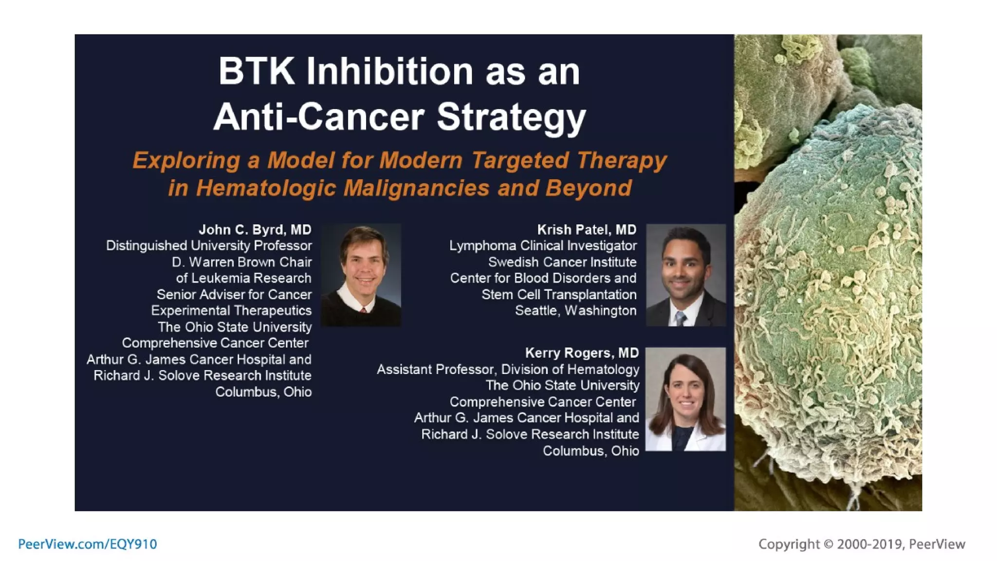 BTK Inhibition as an Anti-Cancer Strategy: Exploring a Model for Modern ...