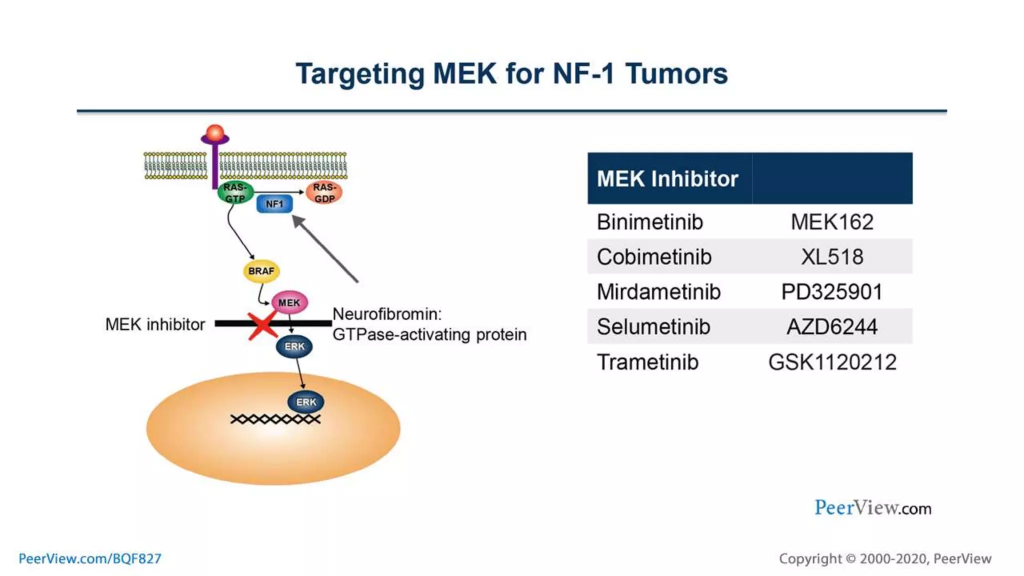 Targeting the RAS/MAPK Pathway in Neurofibromatosis Type 1, Plexiform ...
