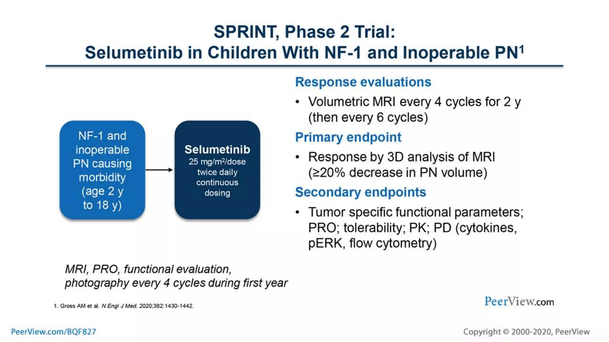 Targeting the RAS/MAPK Pathway in Neurofibromatosis Type 1, Plexiform ...