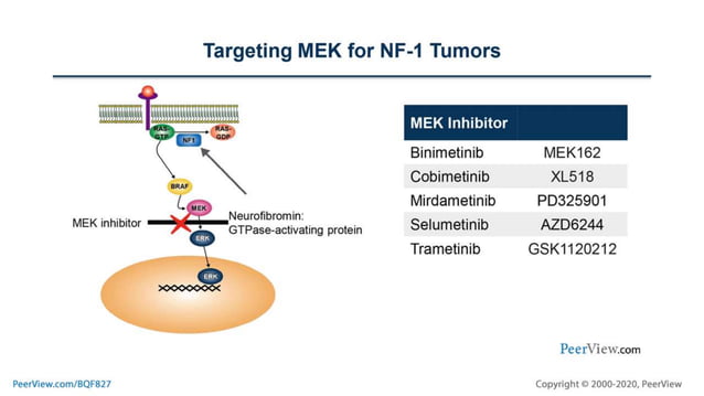 Targeting the RAS/MAPK Pathway in Neurofibromatosis Type 1, Plexiform ...