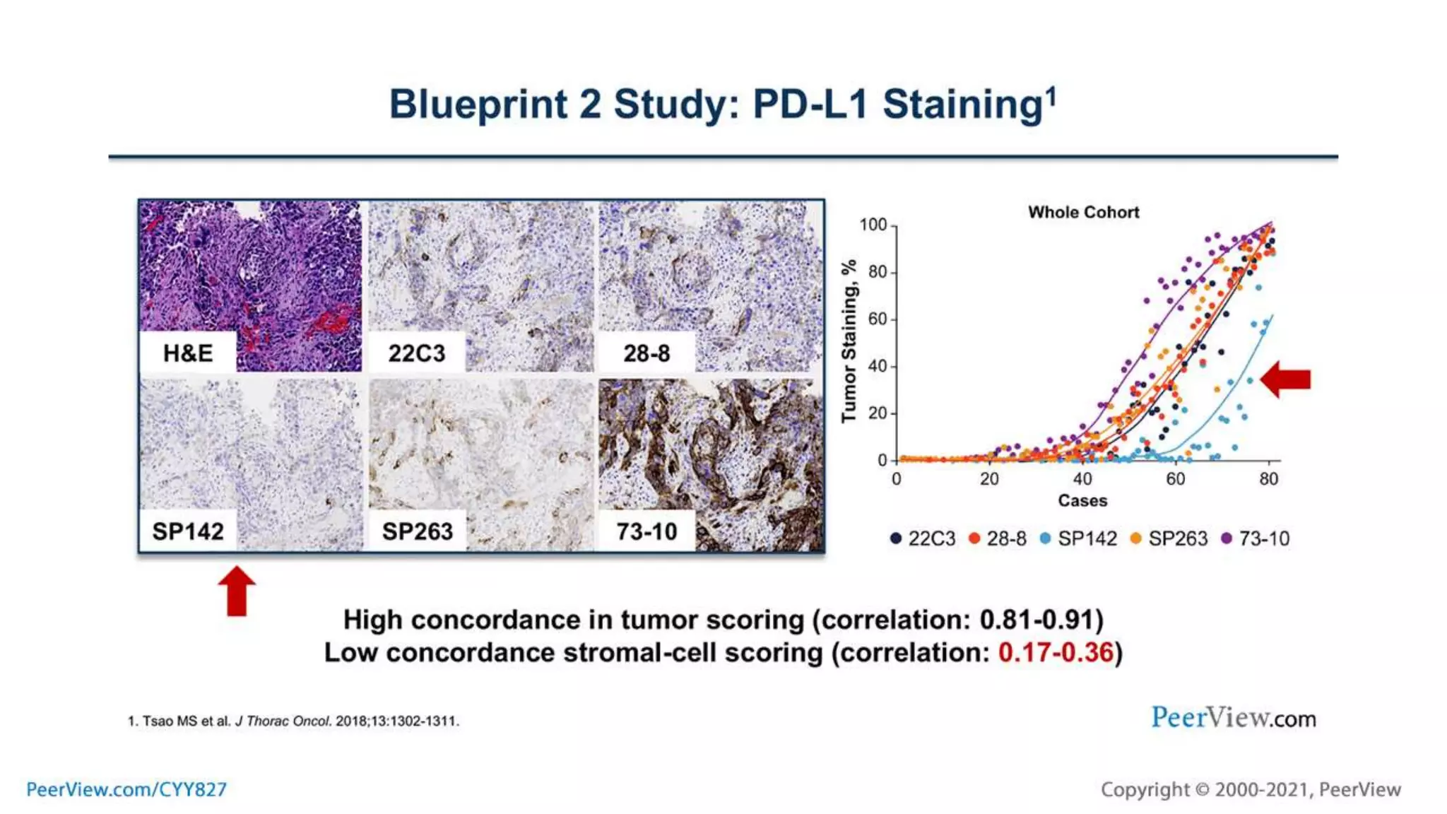Revisiting PD-L1 as an Immunotherapy Biomarker Across the Cancer ...