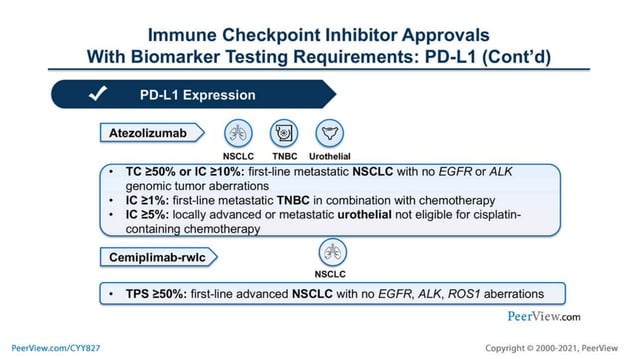 Revisiting PD-L1 as an Immunotherapy Biomarker Across the Cancer ...