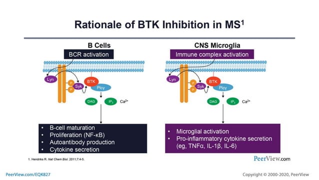 Navigating the Evolving Management Paradigm Across Multiple Sclerosis ...