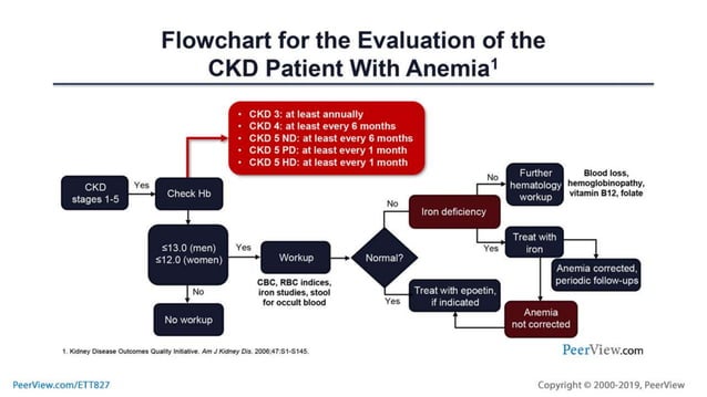 Exploring Emerging Strategies in the Management of Anemia in Chronic ...