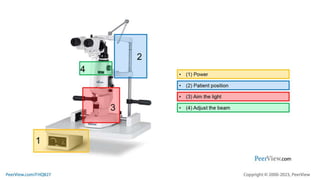 Retinal Disease in the ED: “See Me Now”- A Primer for Emergency ...