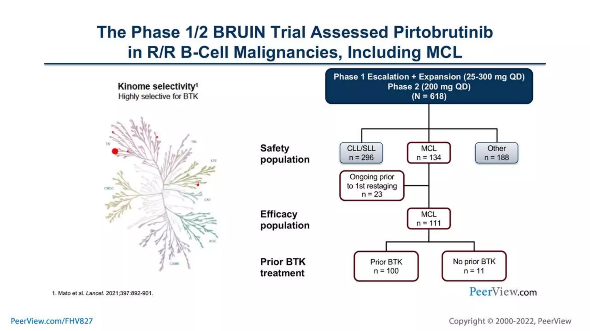 Rebooting the BTK Inhibitor Sequence in MCL: Team-Centered Guidance on the Personalized ...