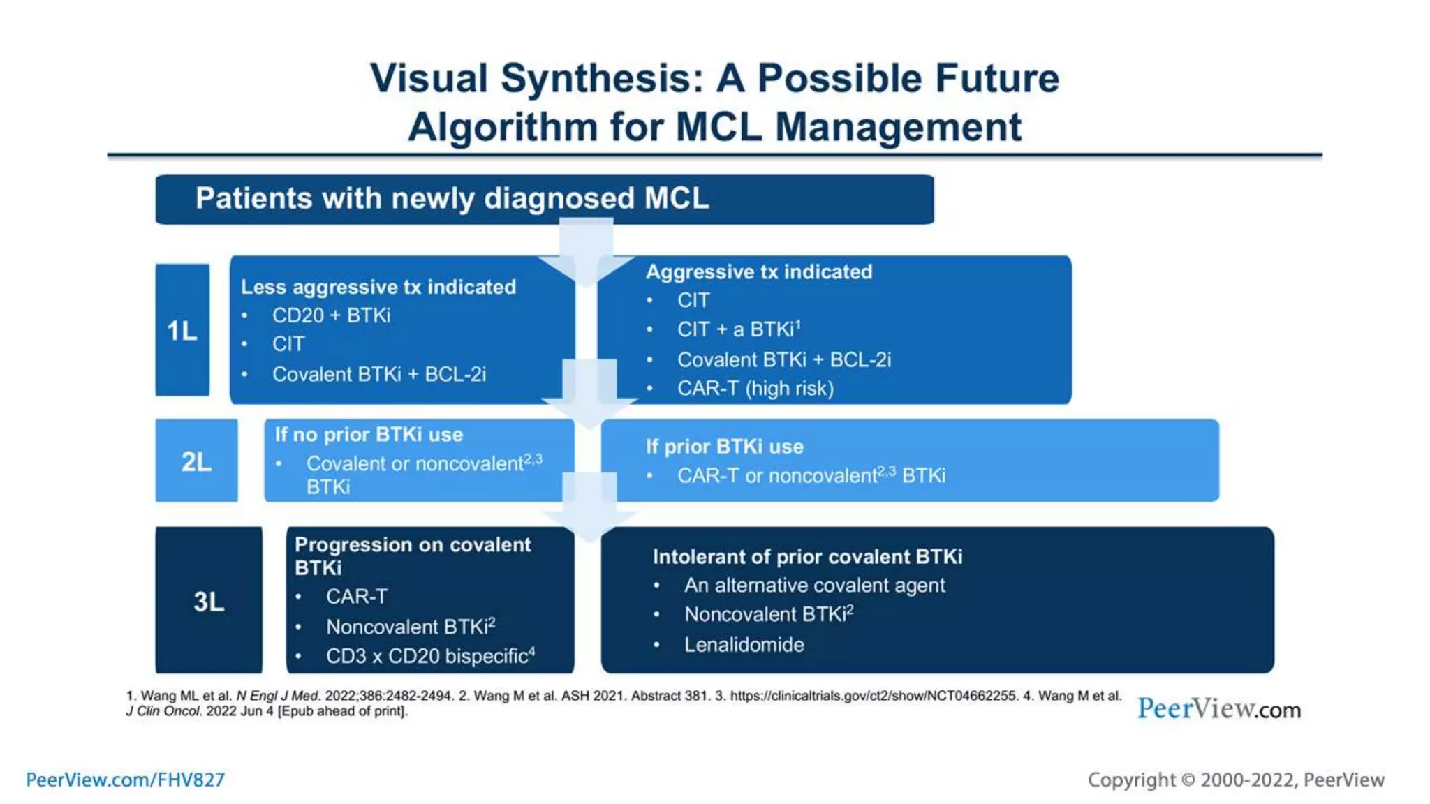 Rebooting the BTK Inhibitor Sequence in MCL: Team-Centered Guidance on the Personalized ...