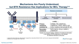 Rebooting the BTK Inhibitor Sequence in MCL: Team-Centered Guidance on the Personalized ...