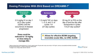 “Off-the-Shelf” Choices in RRMM: Oncology Nurse Guidance on Delivering ...