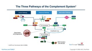 Targeted Complements: Exploring New Horizons Designed to Address Gaps ...