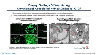 Targeted Complements: Exploring New Horizons Designed to Address Gaps ...