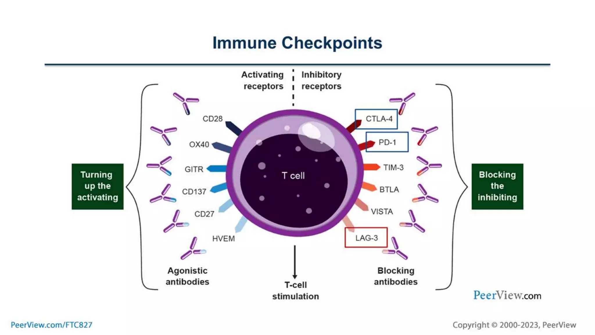 Refining Best Practices in Cancer Immunotherapy Biomarker Testing and ...