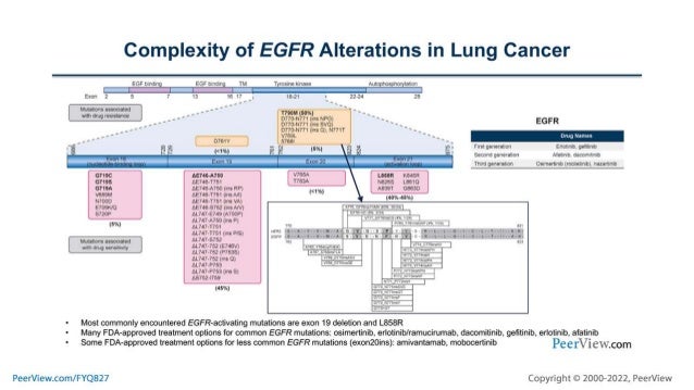 Bringing Precision Oncology to Early-Stage Lung Cancer, With Adjuvant ...