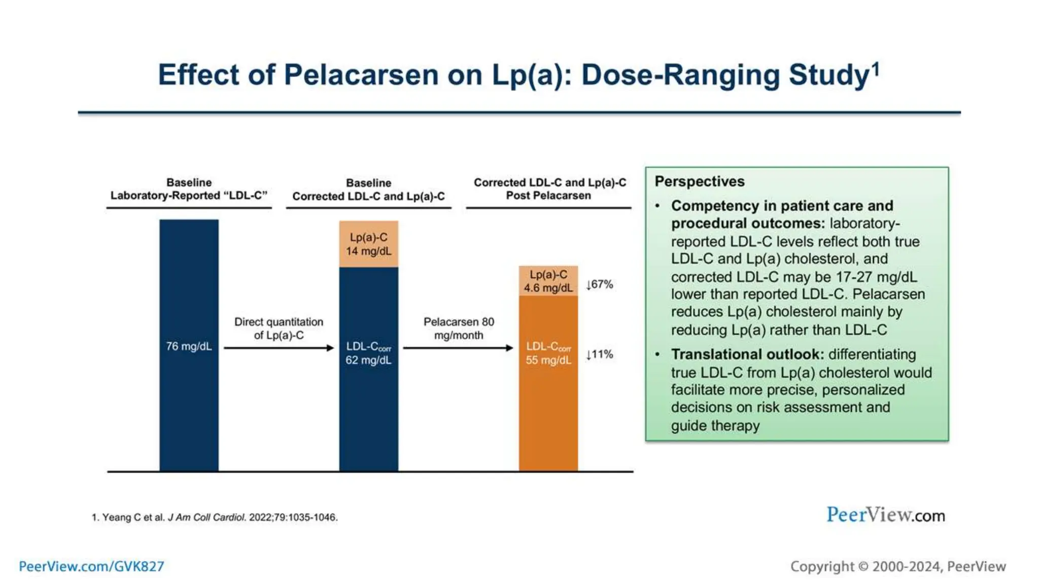 Targeting Elevated Cardiovascular Risk: Current Therapies and New ...