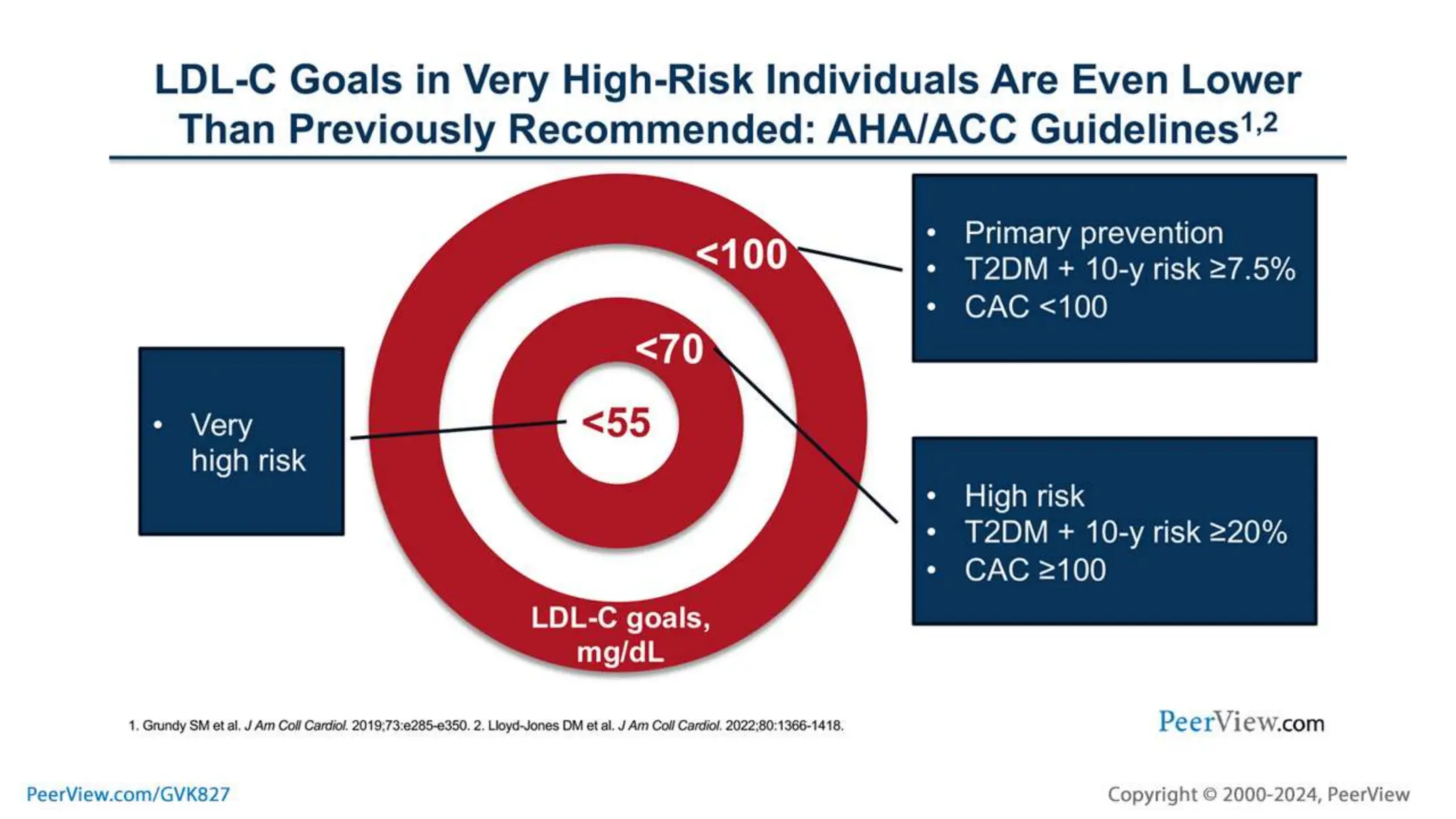 Targeting Elevated Cardiovascular Risk: Current Therapies and New ...