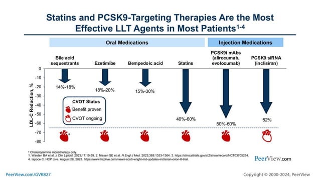 Targeting Elevated Cardiovascular Risk: Current Therapies and New ...
