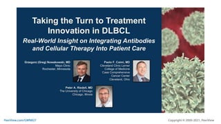 Taking the Turn to Treatment Innovation in DLBCL: Real-World Insight on ...