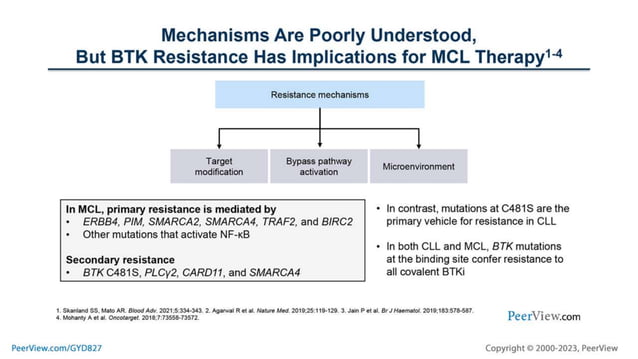 Reviving the BTK Target in MCL: Recalibrating the Treatment Sequence ...