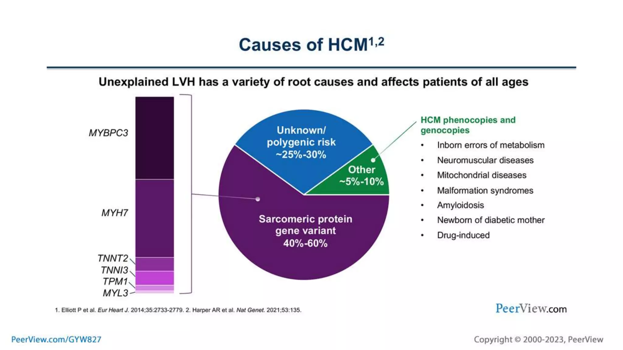 Loosening the Grip of Hypertrophic Cardiomyopathy: Updated Strategies ...