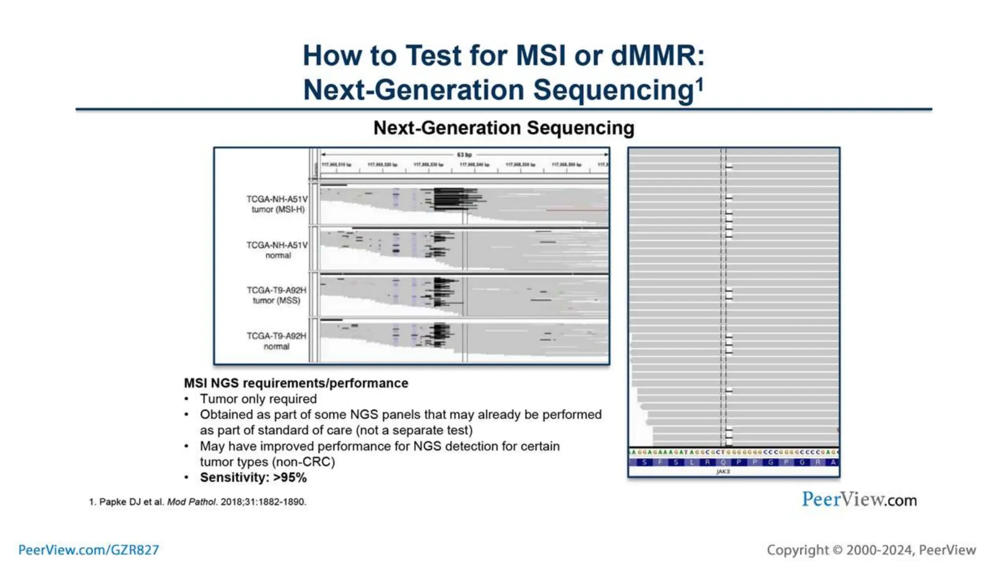 PATHway to Decoding the Impact of Cancer Immunotherapy: Latest Advances ...