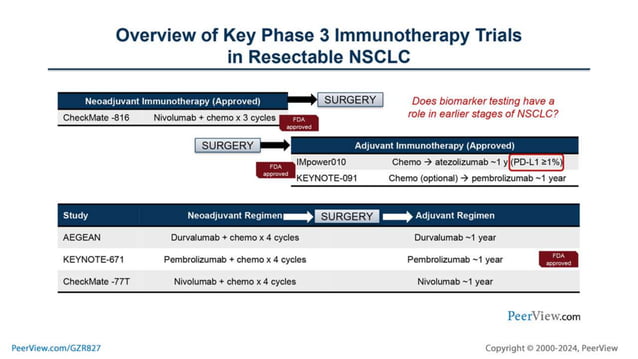 PATHway to Decoding the Impact of Cancer Immunotherapy: Latest Advances ...