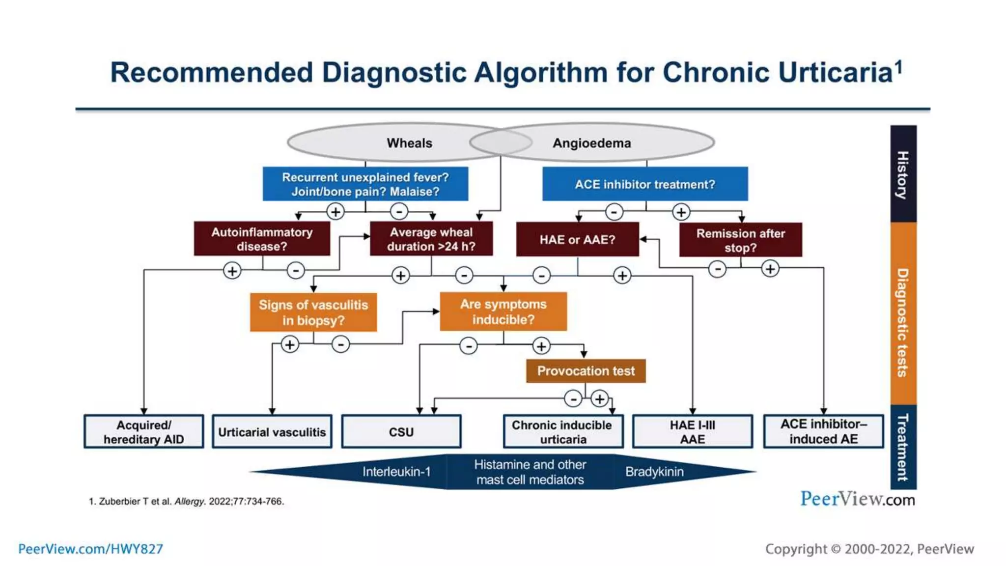 Advances in Chronic Spontaneous Urticaria: Expert Insight on ...