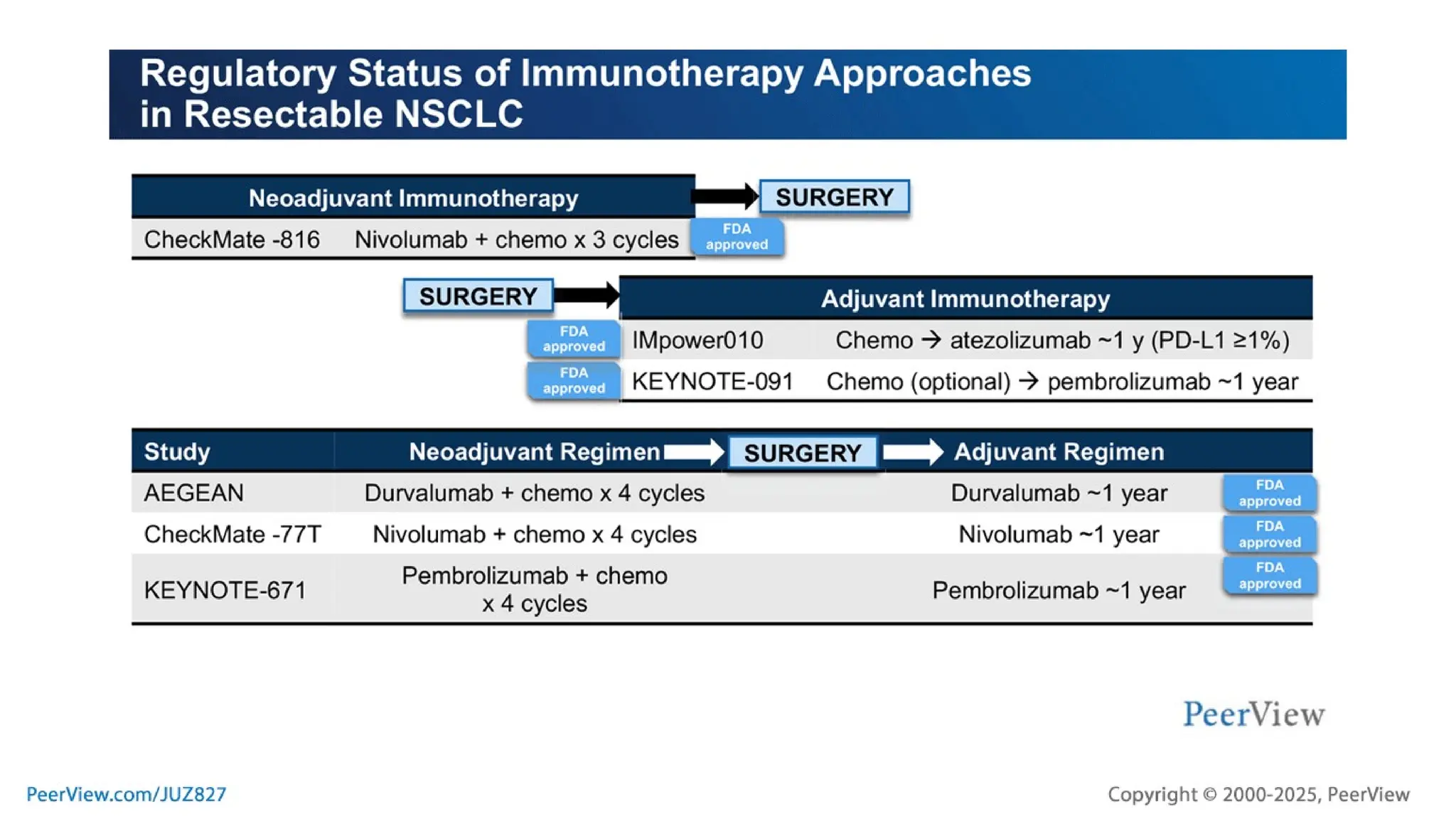 Mastering the Integration of Immunotherapy in Resectable NSCLC ...