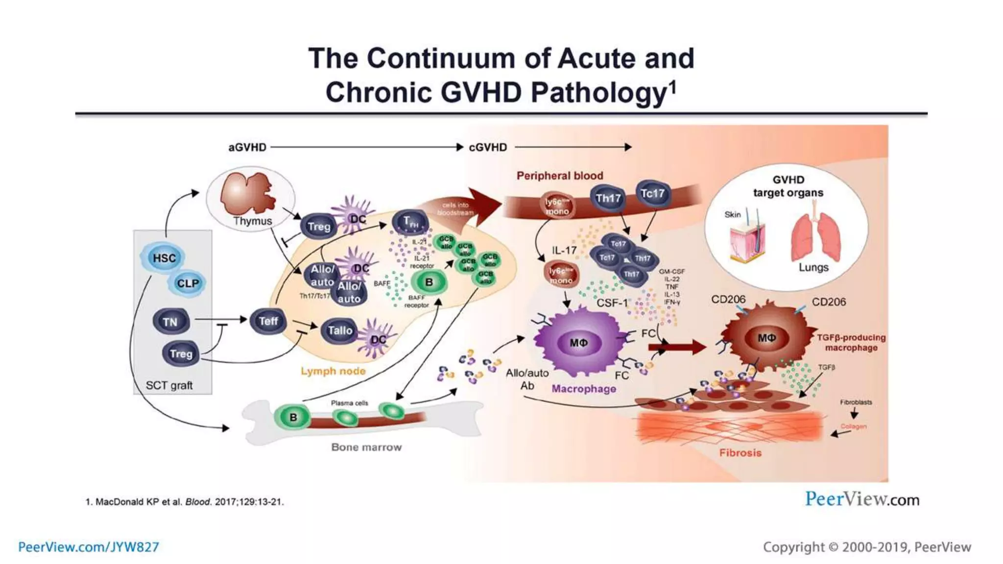 Expanding Options for Prophylaxis and Treatment of Acute and Chronic ...