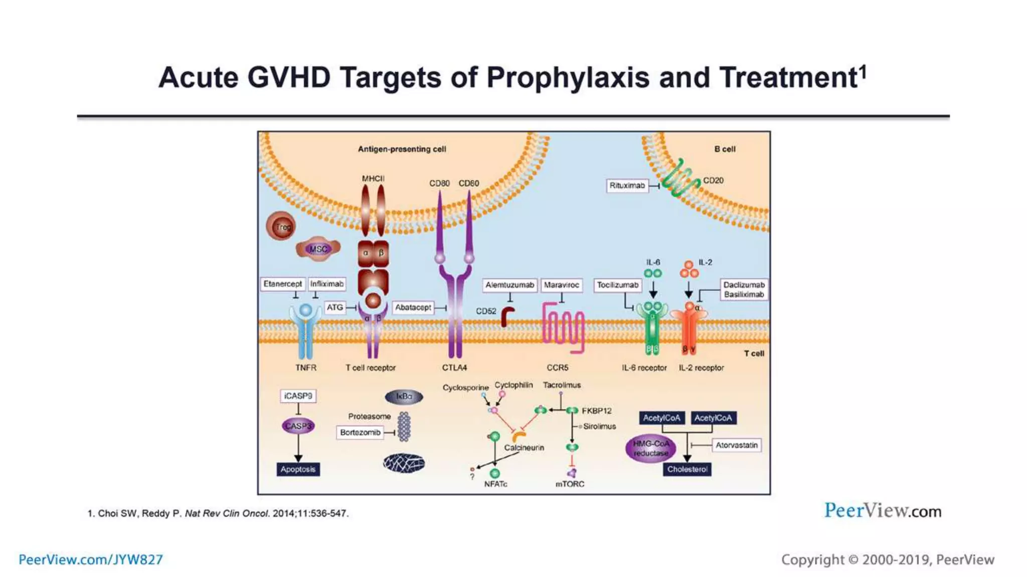 Expanding Options for Prophylaxis and Treatment of Acute and Chronic ...