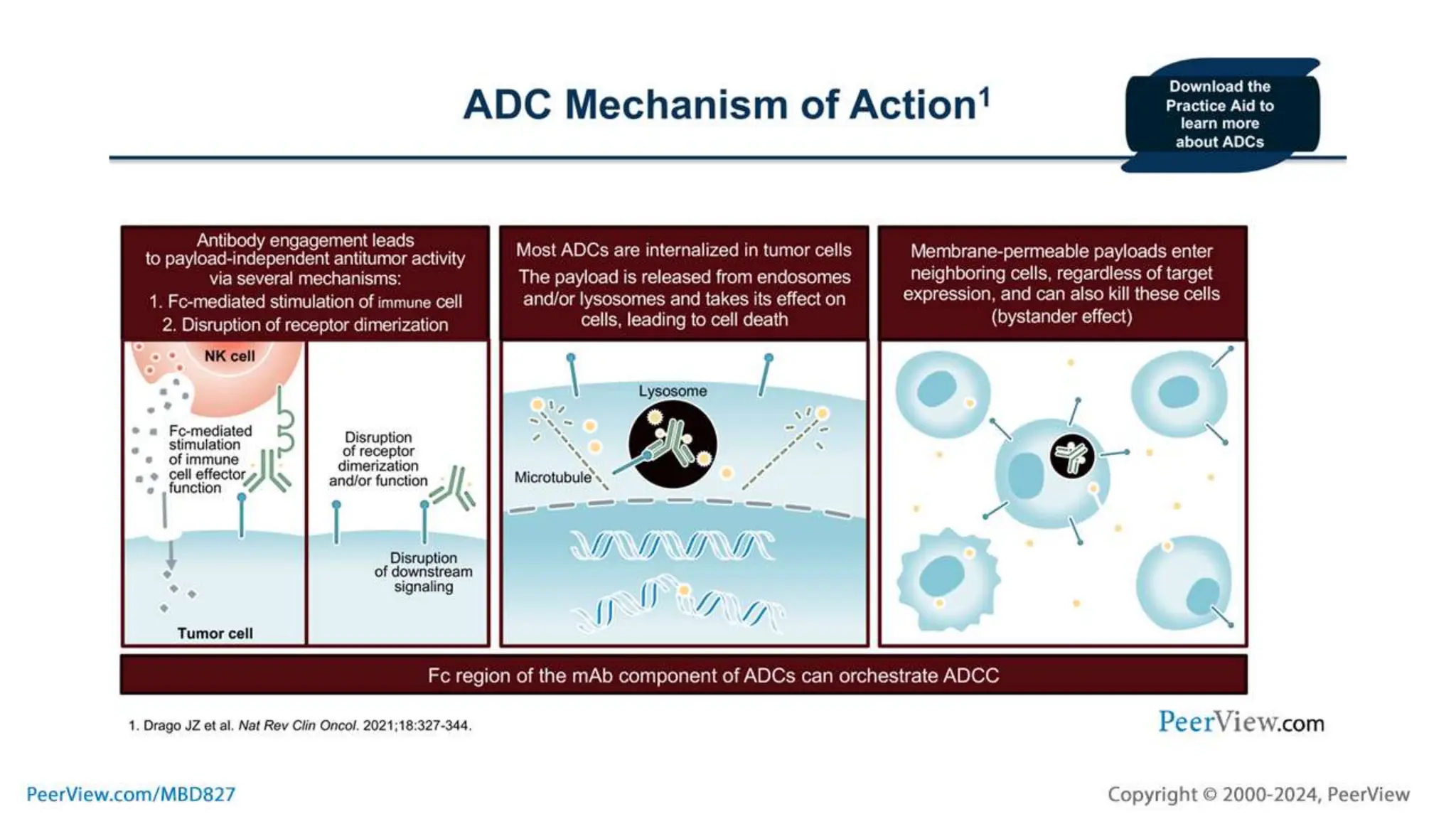 Maximizing the Role of ADCs in Urothelial Carcinoma: Practical Tips for ...