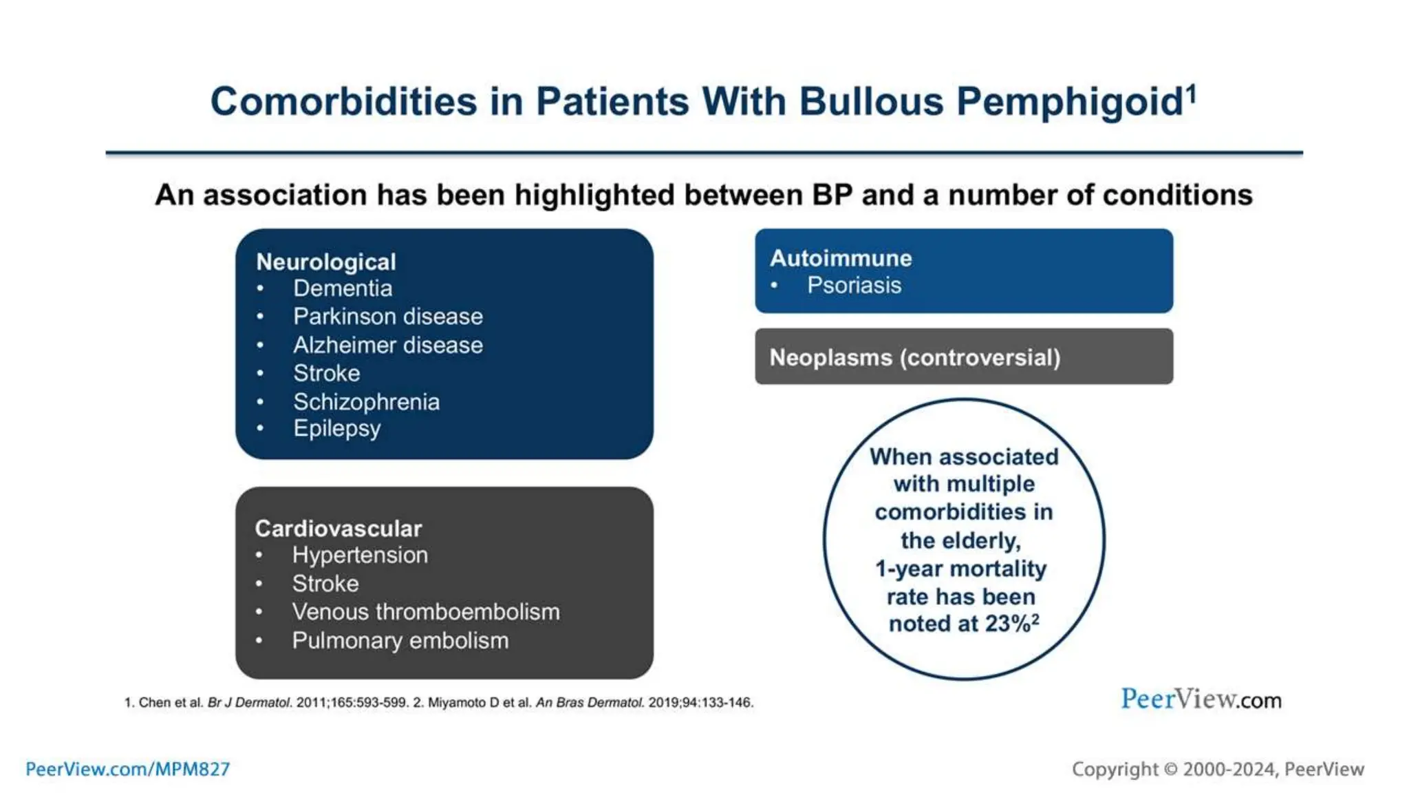 Addressing Unmet Patient Needs in Bullous Pemphigoid: Exploring ...