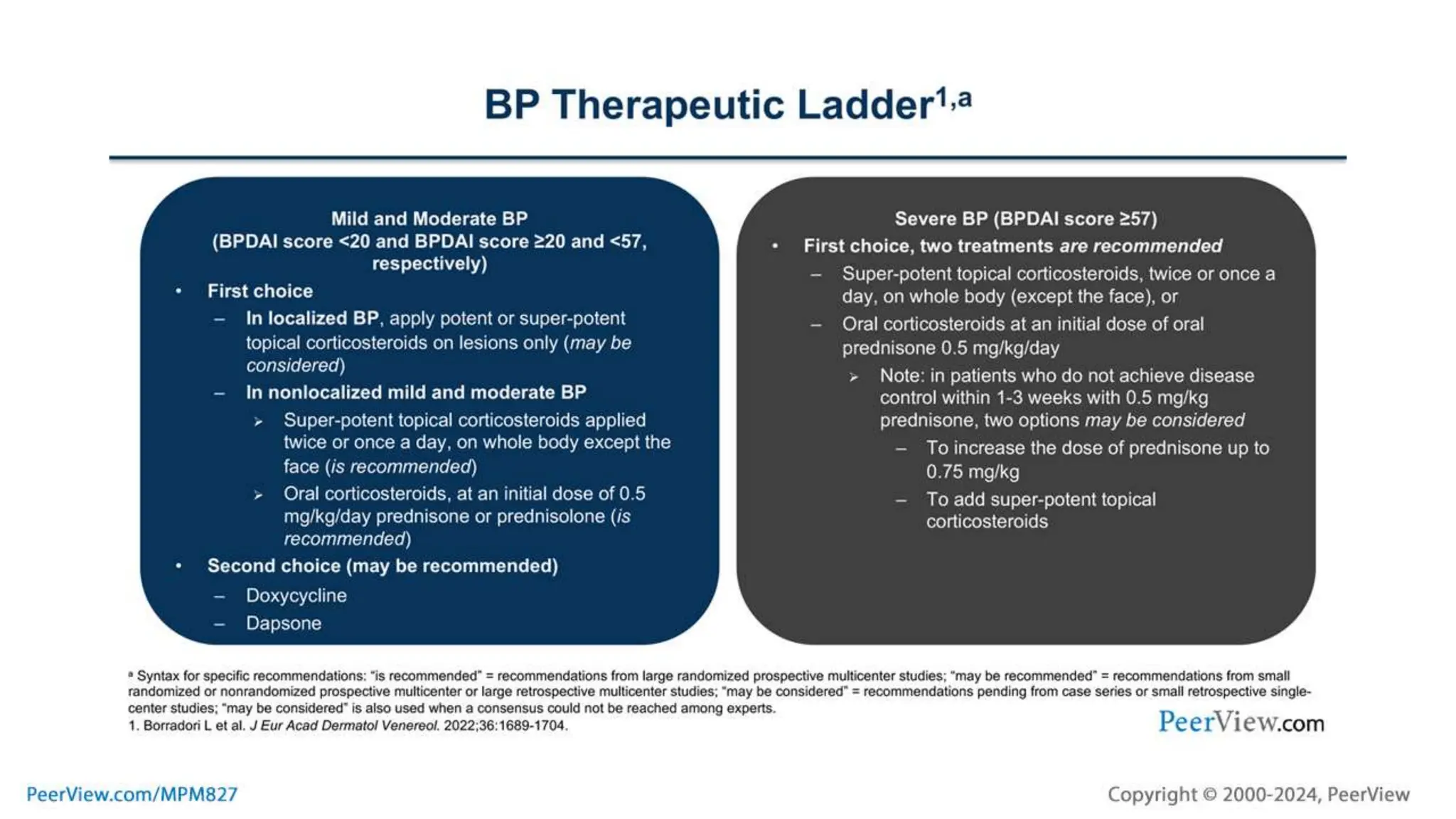 Addressing Unmet Patient Needs in Bullous Pemphigoid: Exploring ...