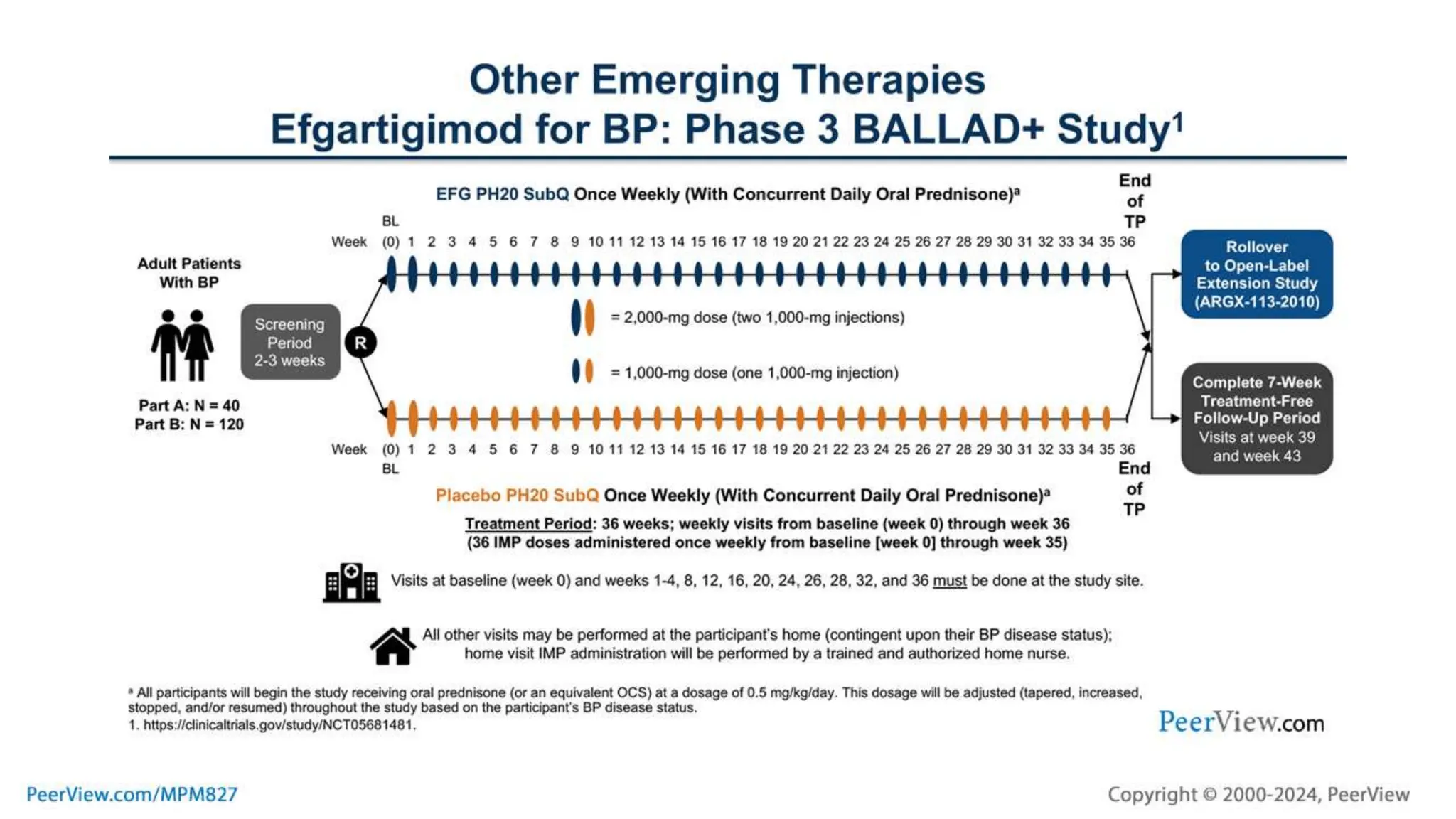 Addressing Unmet Patient Needs in Bullous Pemphigoid: Exploring ...