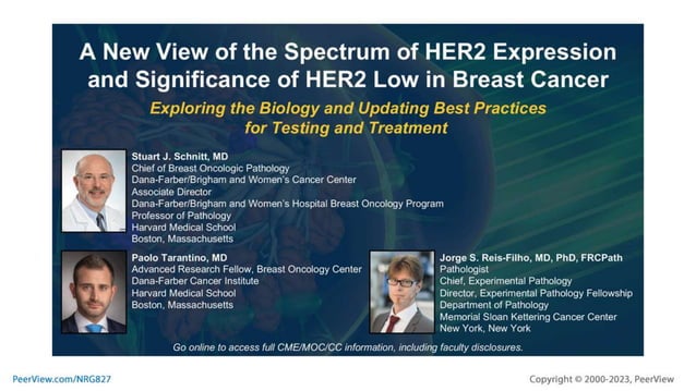 A New View of the Spectrum of HER2 Expression and Significance of HER2 Low in Breast Cancer ...