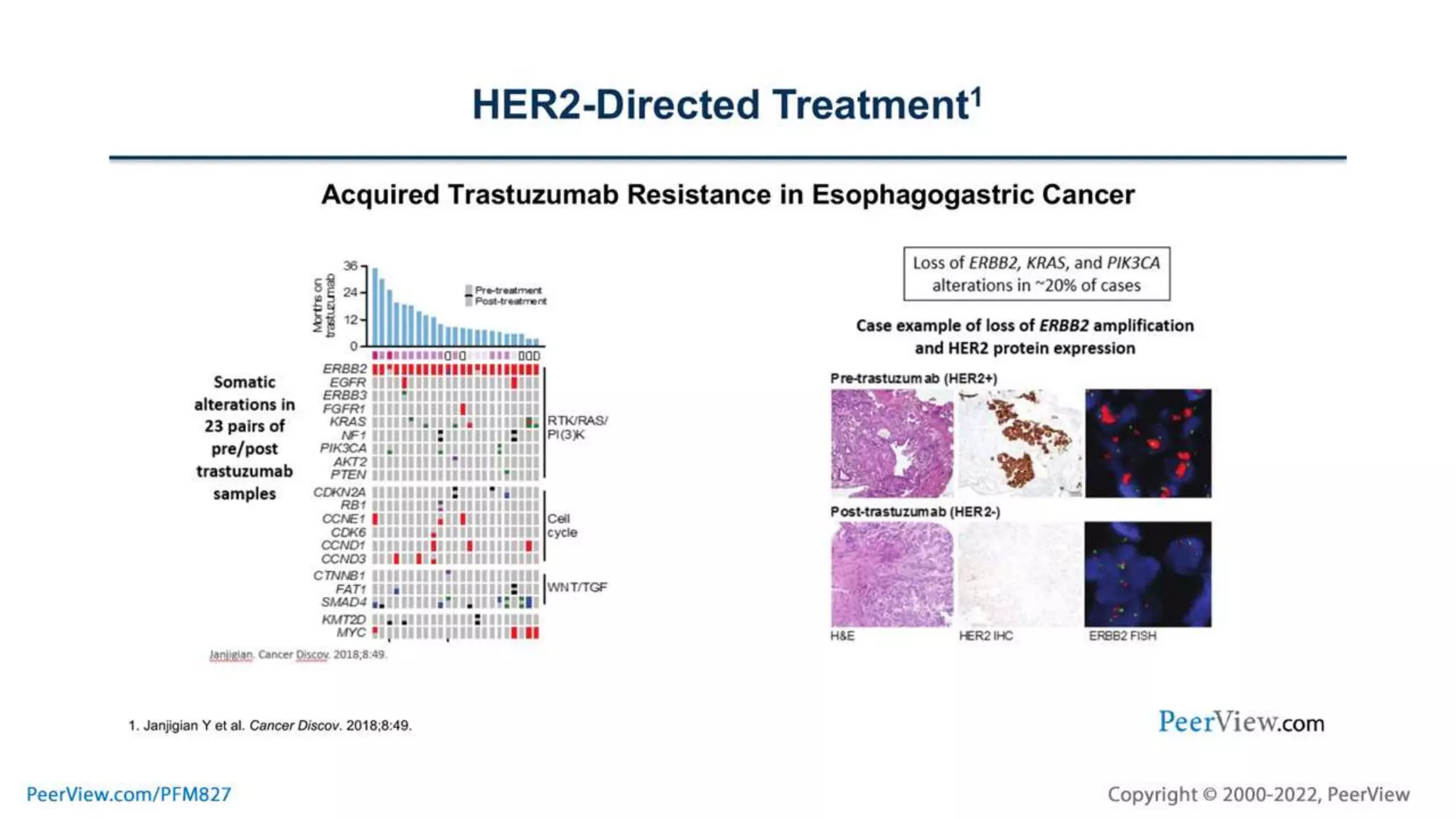 Tackling the Practicalities of Antibody–Drug Conjugate Therapy for Solid Tumors: Improving ...