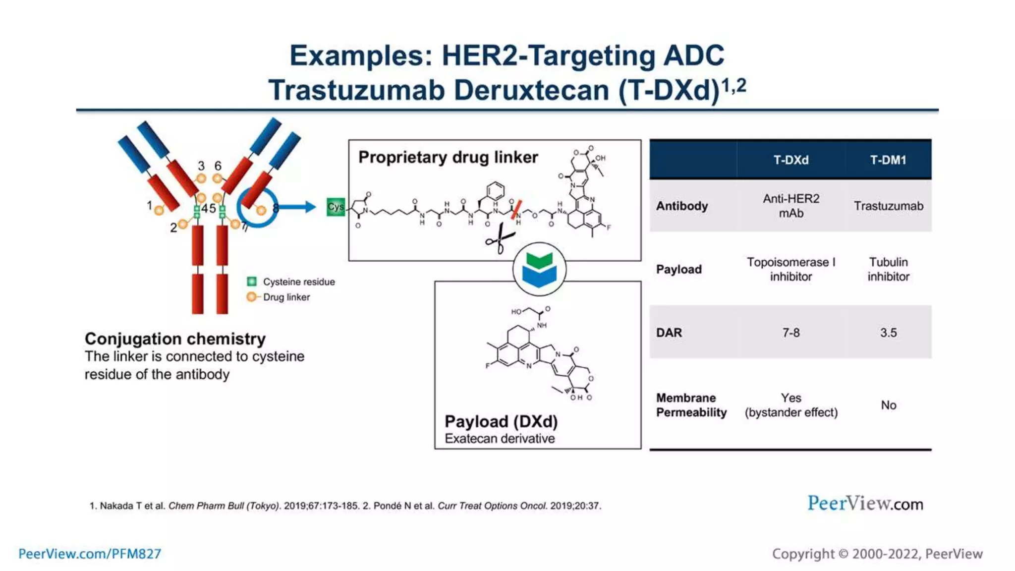 Tackling the Practicalities of Antibody–Drug Conjugate Therapy for Solid Tumors: Improving ...