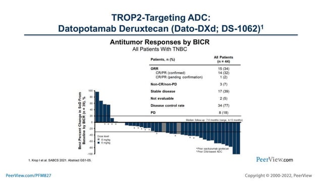 Tackling the Practicalities of Antibody–Drug Conjugate Therapy for Solid Tumors: Improving ...