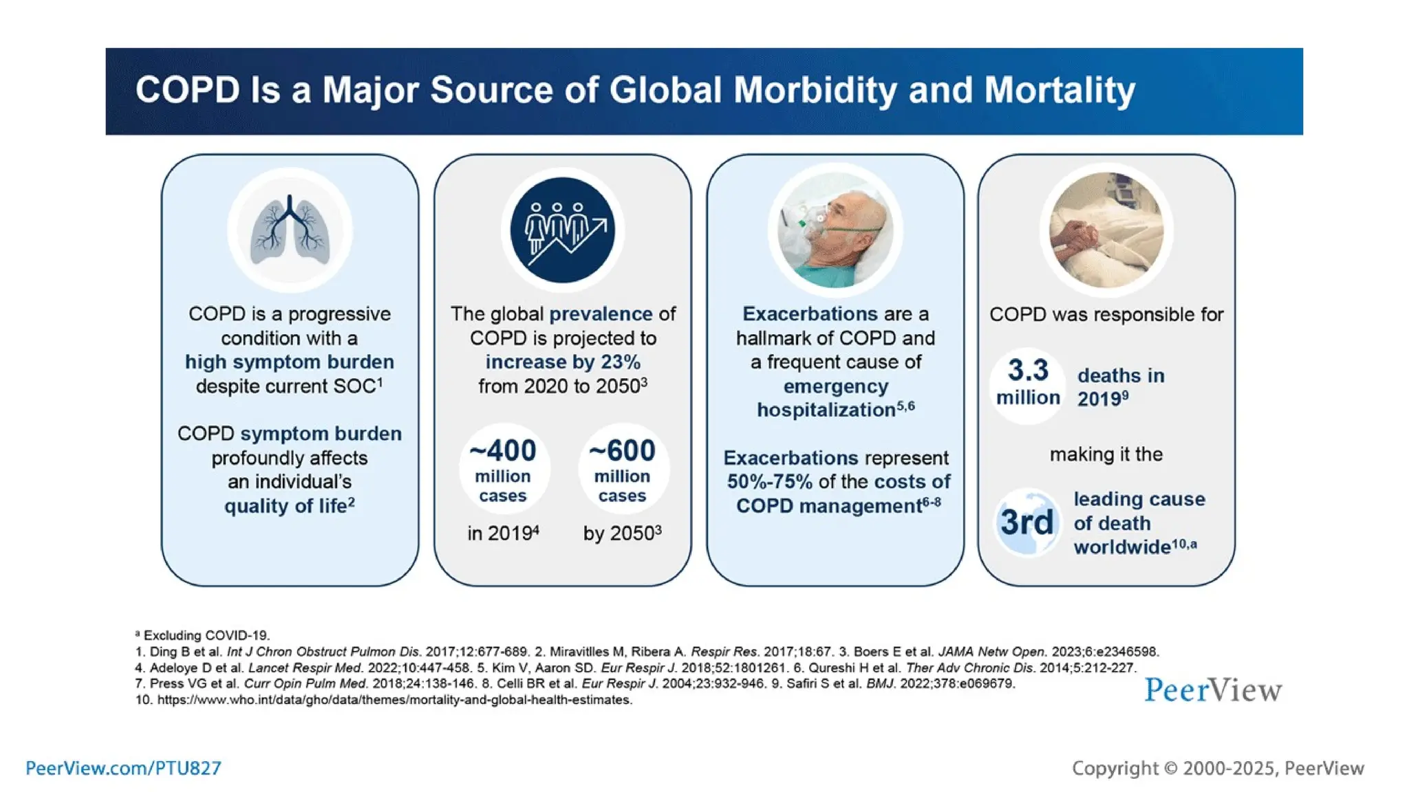 Addressing an Exacerbating Issue in COPD: Strategies for Individualized ...