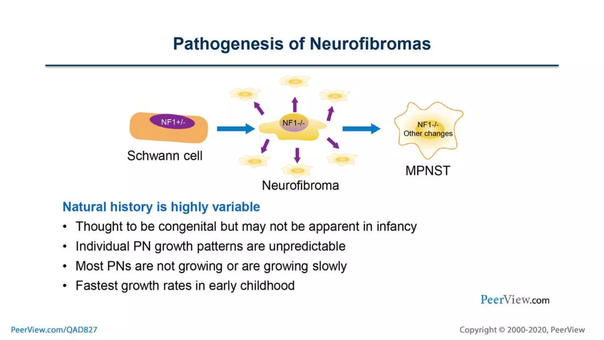 Targeting the RAS/MAPK Pathway in Neurofibromatosis Type 1 and ...