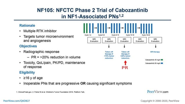 Targeting the RAS/MAPK Pathway in Neurofibromatosis Type 1 and ...