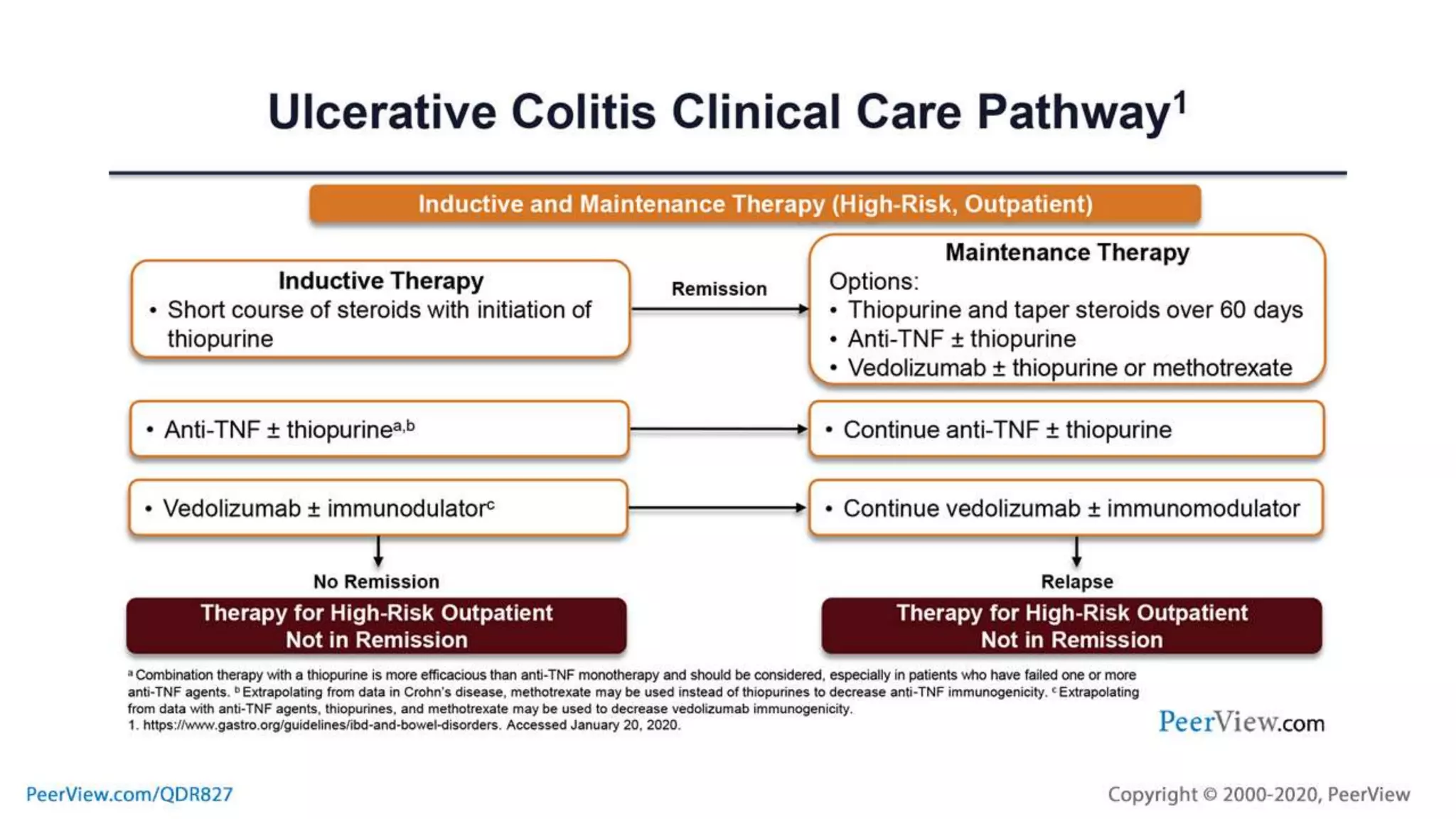 Transforming the Management of Inflammatory Bowel Disease: A Closer Look at the Role of JAK ...