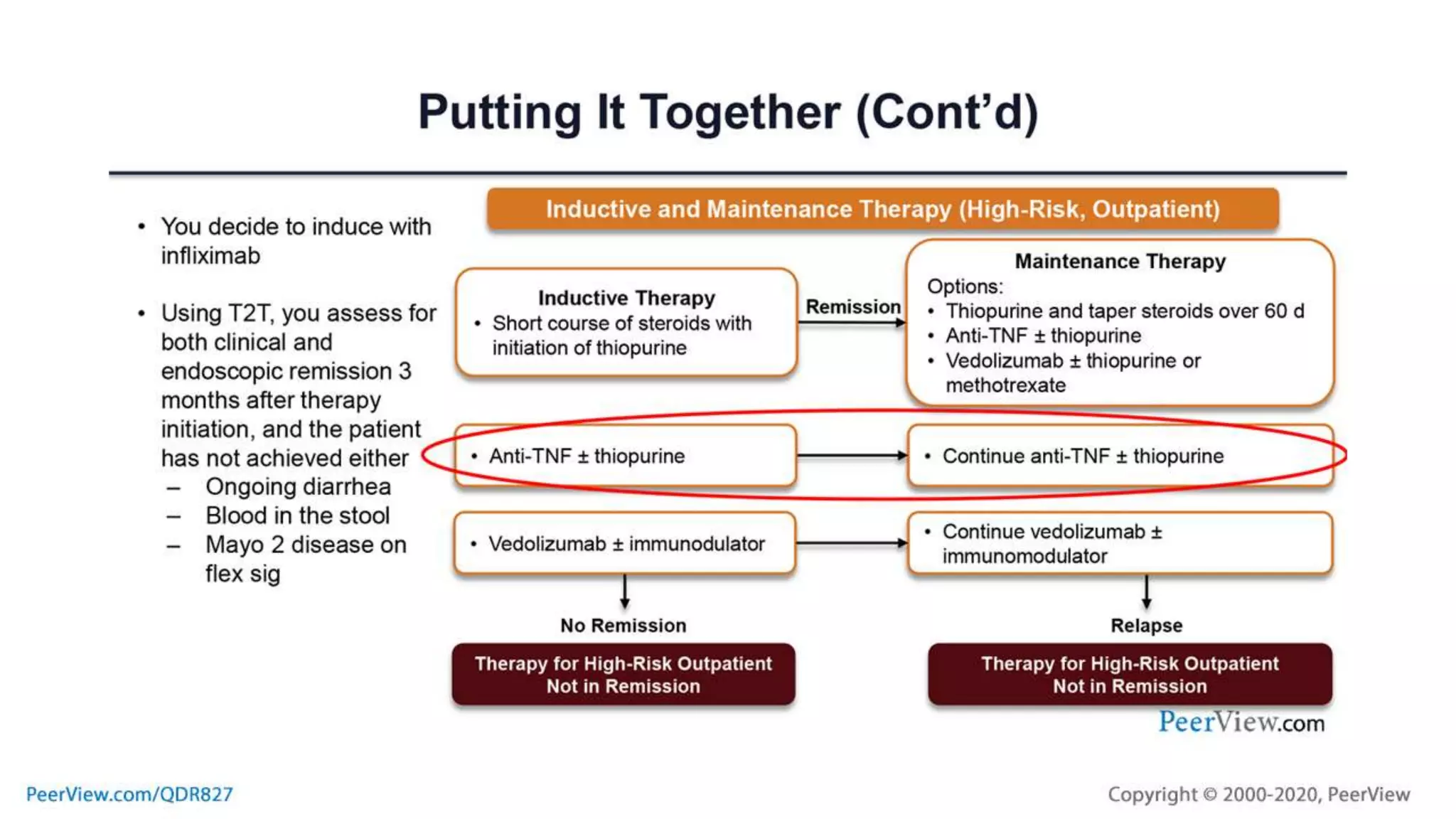 Transforming the Management of Inflammatory Bowel Disease: A Closer Look at the Role of JAK ...