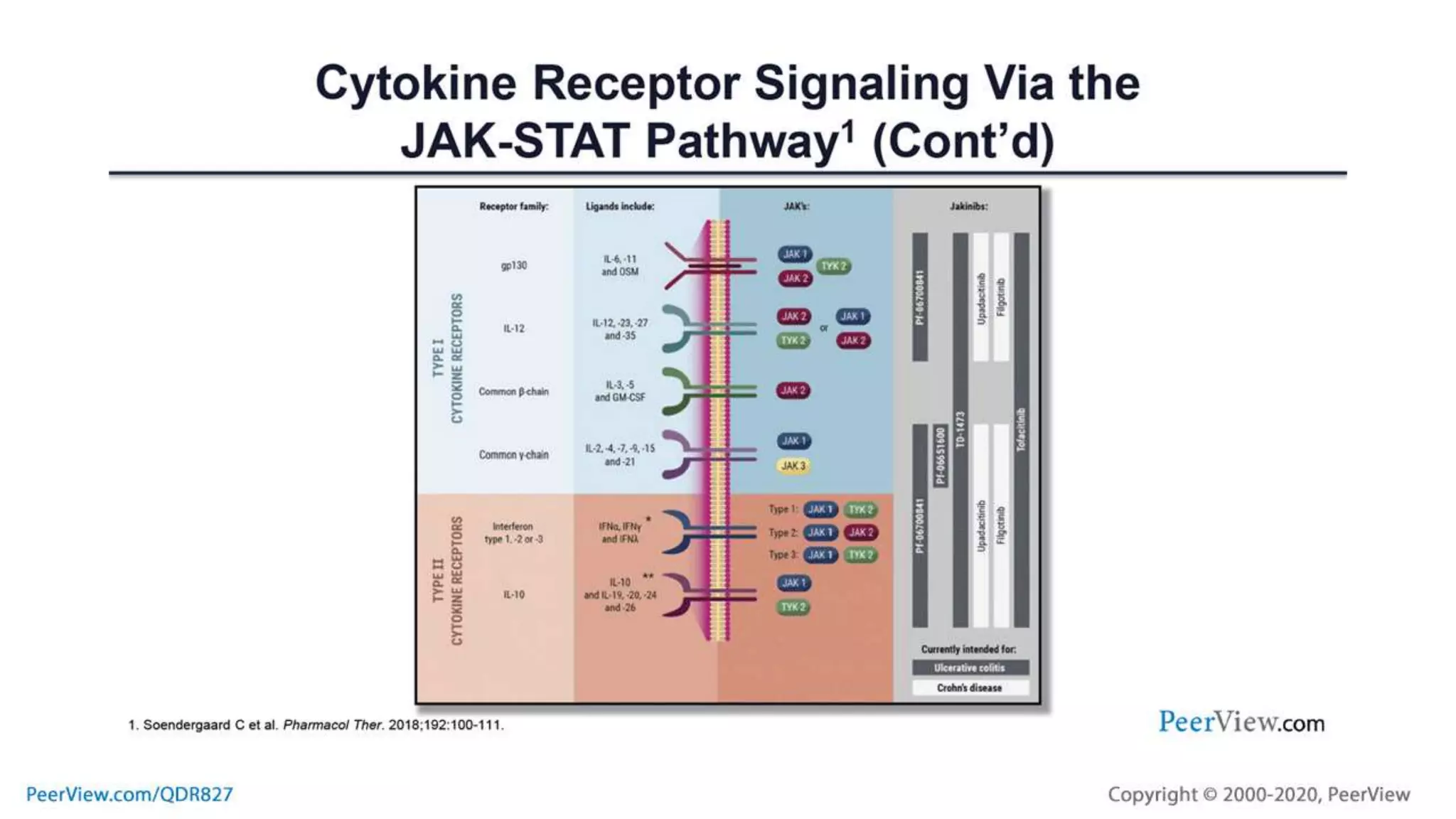 Transforming the Management of Inflammatory Bowel Disease: A Closer ...