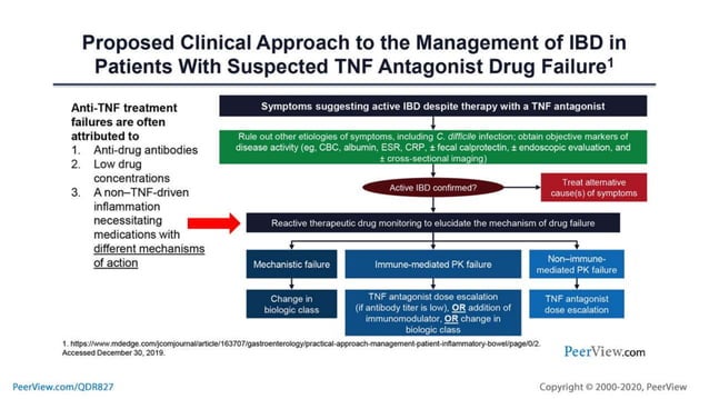 Transforming the Management of Inflammatory Bowel Disease: A Closer Look at the Role of JAK ...