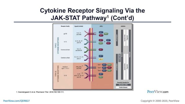 Transforming the Management of Inflammatory Bowel Disease: A Closer Look at the Role of JAK ...