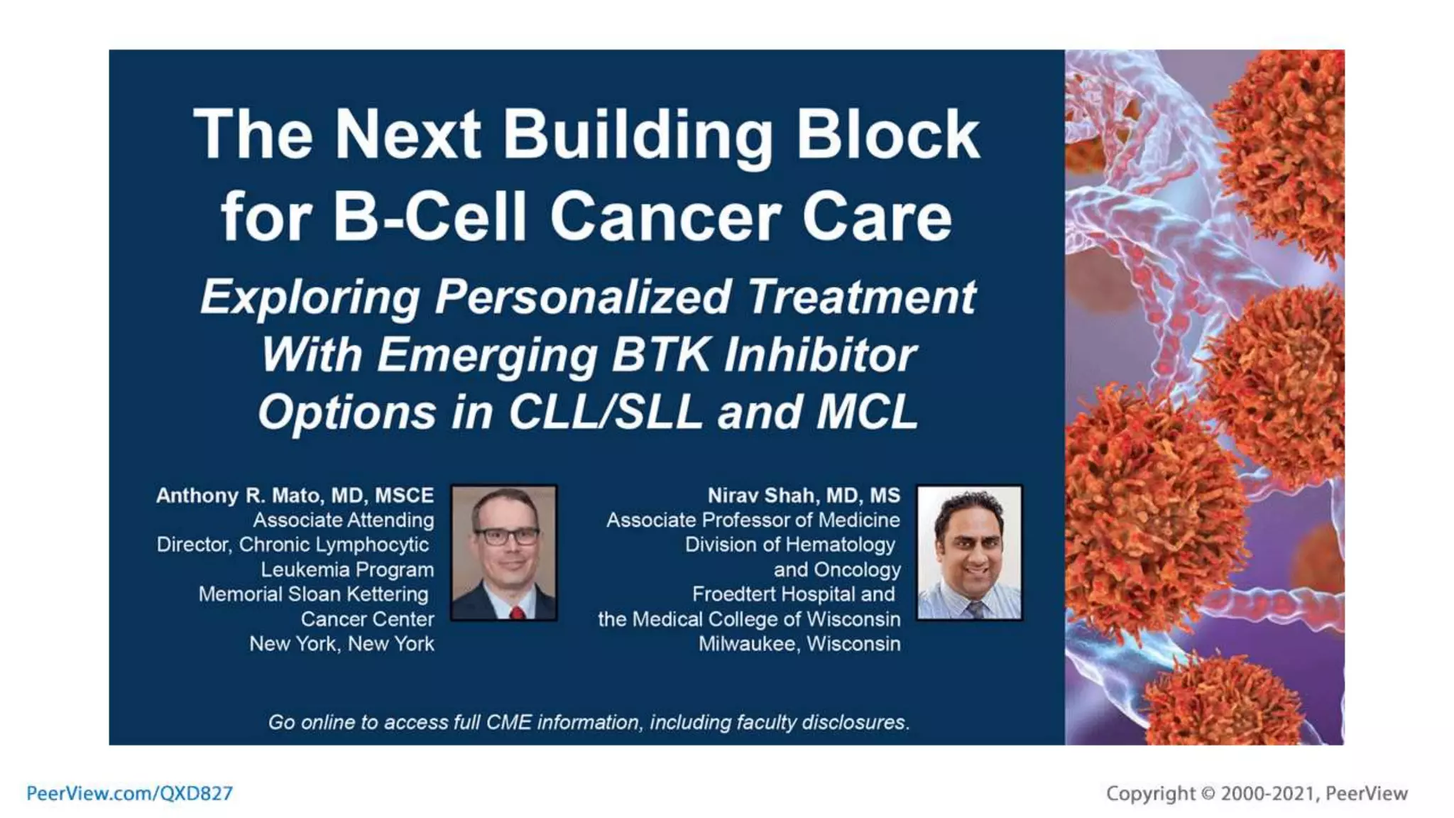 The Next Building Block for B-Cell Cancer Care: Exploring Personalized ...