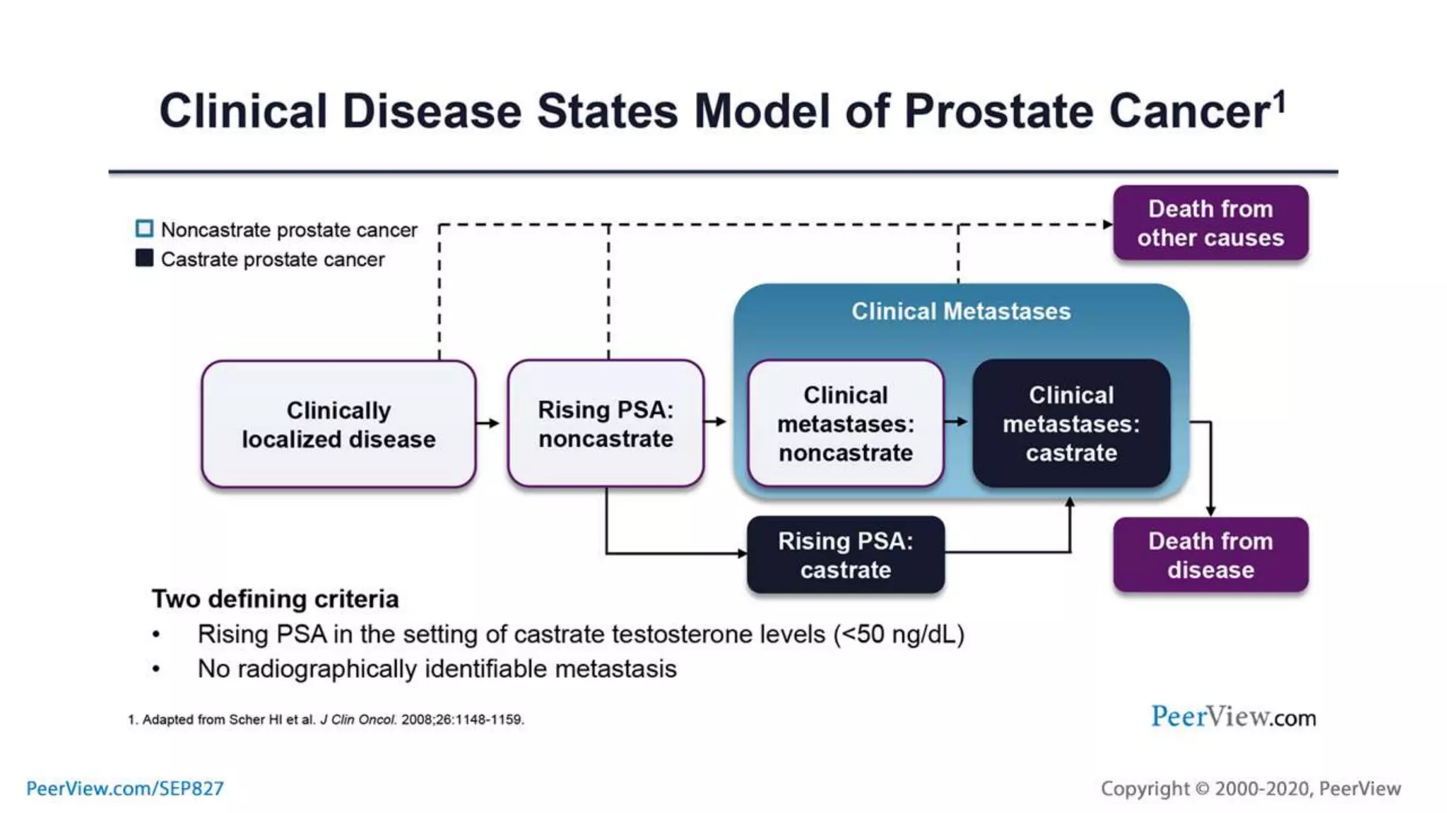 Mapping the Pathways to Better Patient Outcomes in Prostate Cancer ...