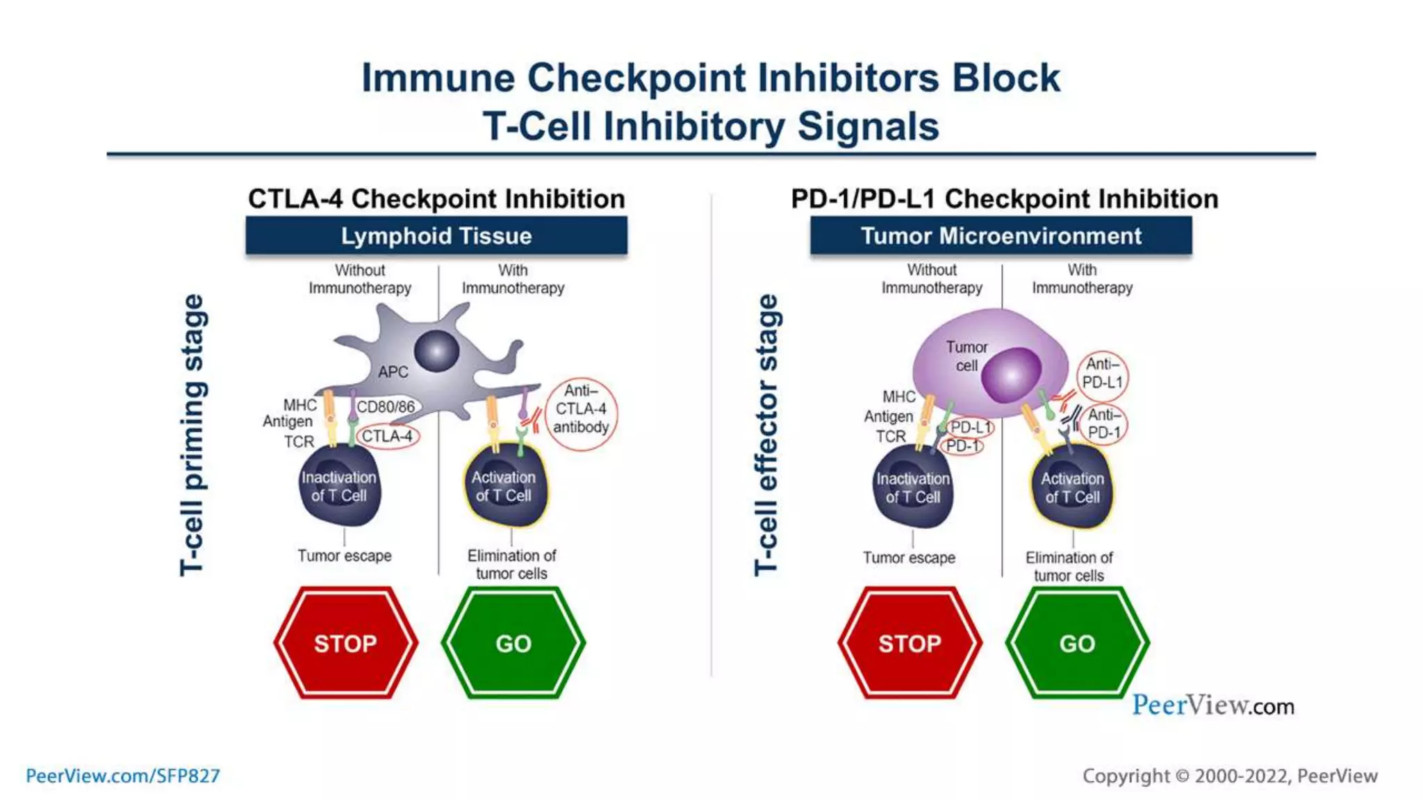 Updating Our Cardio-Oncology Skills in the Cancer Immunotherapy Era ...